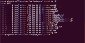 Monitoring Disk Space on Linux - Helpful Commands for SQL Server DBAs