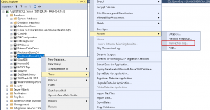 Restoring a SQL Server FILESTREAM enabled database