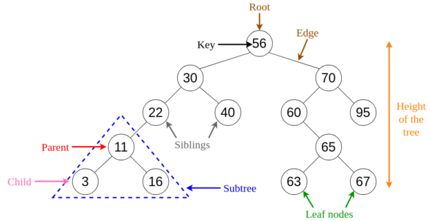 Diving Deep With Complex Data Structures