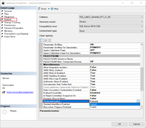 SQL Server Database Parameterization option and its Query Performance effects
