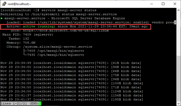 Manage Sql Databases In Centos Install Sql Server On Centos